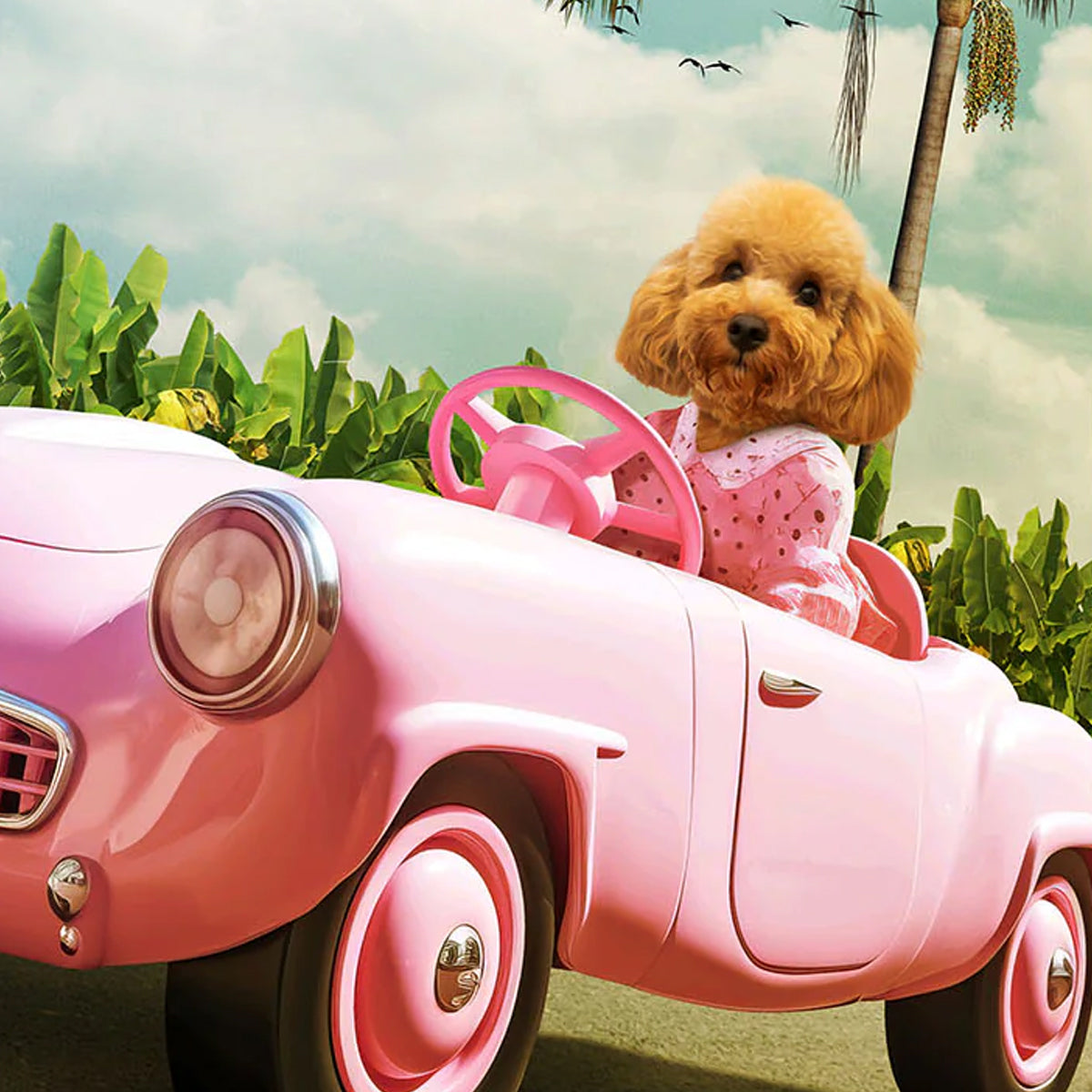 Fairy Tale Pet Portraits | Custom Fantasy Pet Art