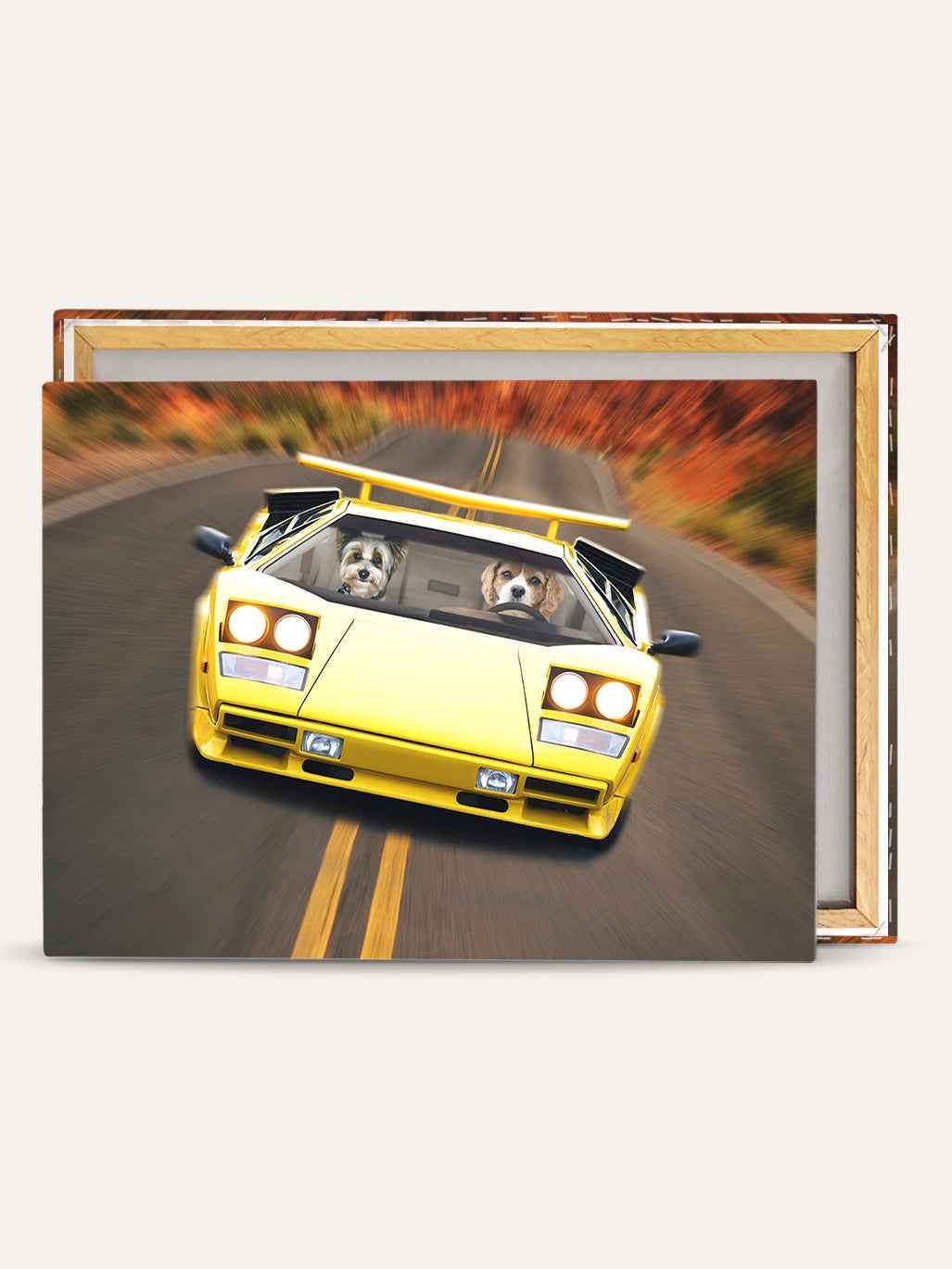 Hypercar - Custom Pet Canvas · Purr & Mutt